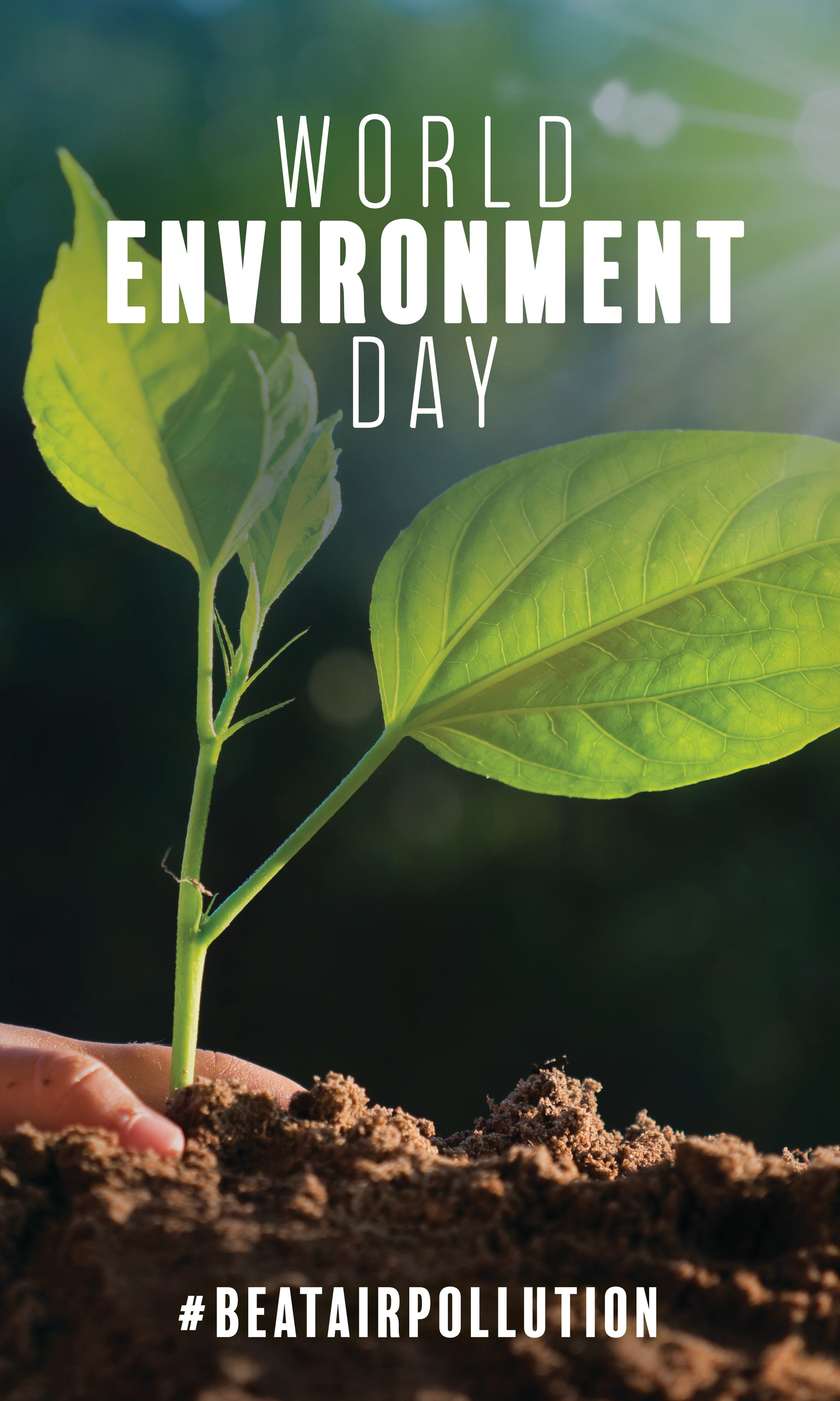 World Environment Day — makesafetyvisible.com